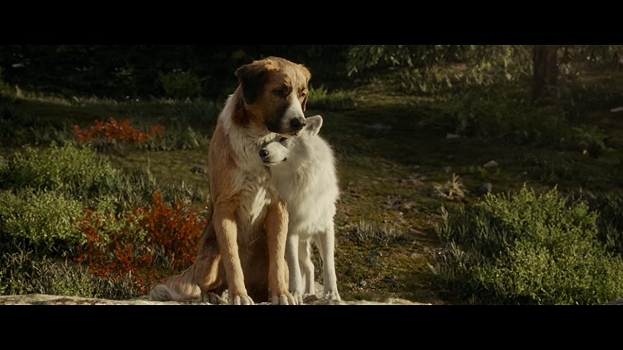 The Call Of The Wild. Dir. Chris Sanders. 20th Century Studios. 2020 ...