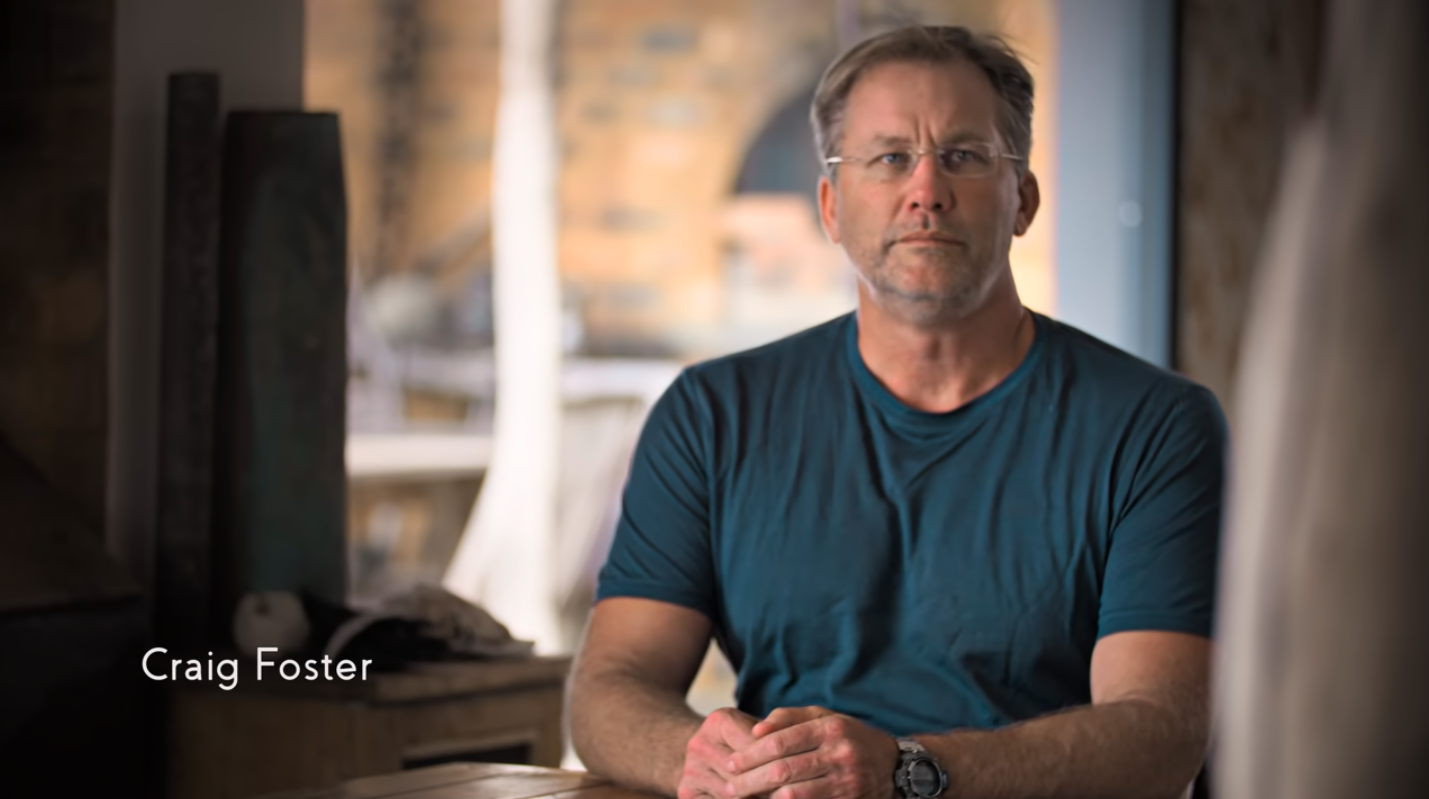 My Octopus Teacher. Dir. Pippa Ehrlich & James Reed. Netflix. 2020 ...