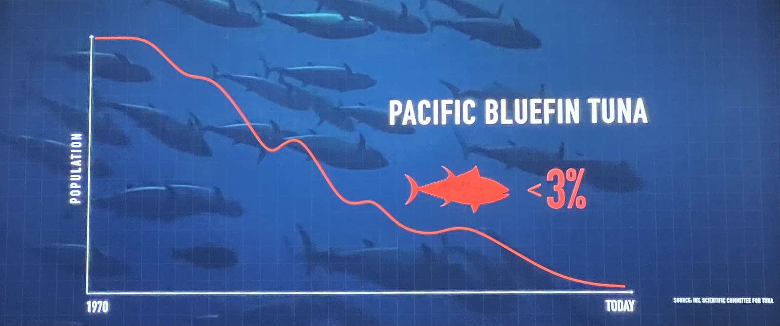 Seaspiracy. Dir. Ali Tabrizi. Netflix. 2021. – ZooScope